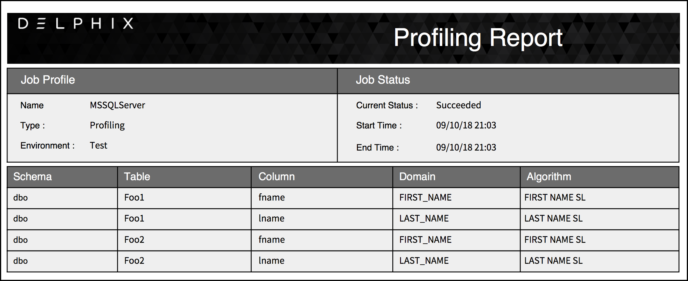 Reporting Profiling Results - Delphix Masking 6.0.11